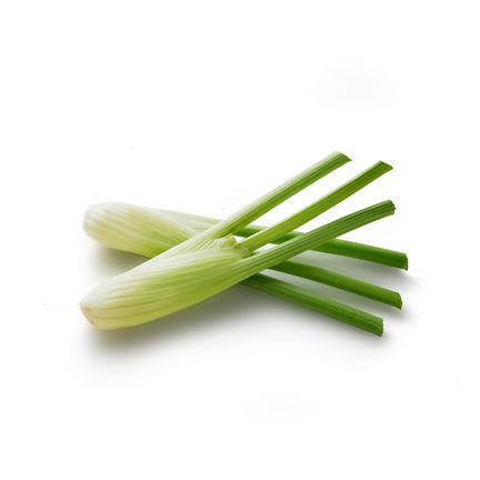 Exotic vegetables - Range - Nature's Pride