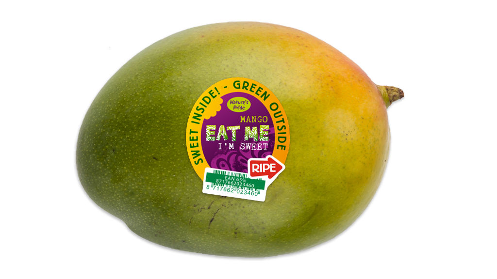 Israeli mango season looks promising - Nature's Pride